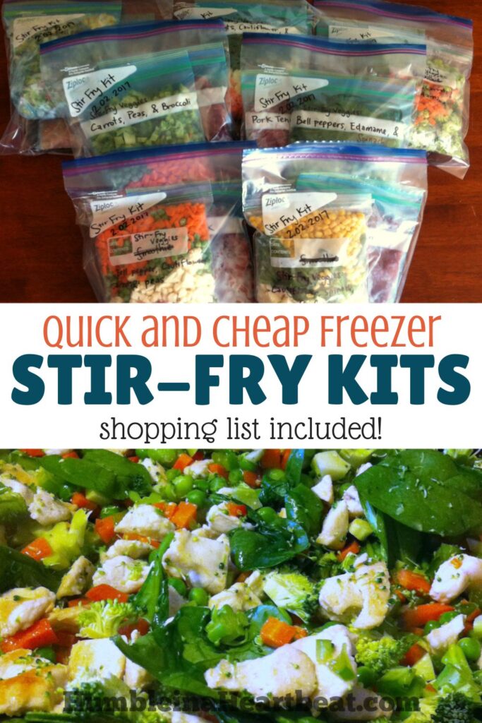 How to Make Healthy and Delicious Freezer Stir-Fry Kits