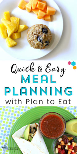 How to Make Meal Planning Quick and Easy with Plan to Eat | Feeding Our ...