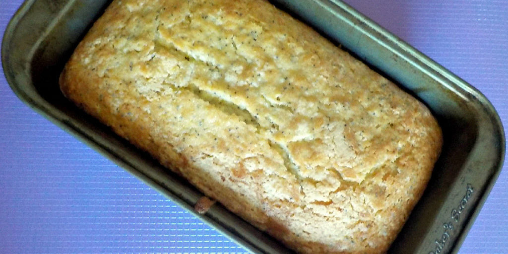 Monthly Produce Challenge Update #8: Summer Squash | Feeding Our Flamingos