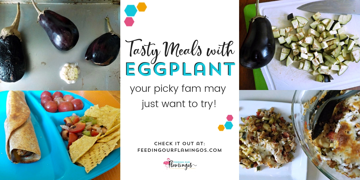 Monthly Produce Challenge Update #9: Eggplant | Feeding Our Flamingos