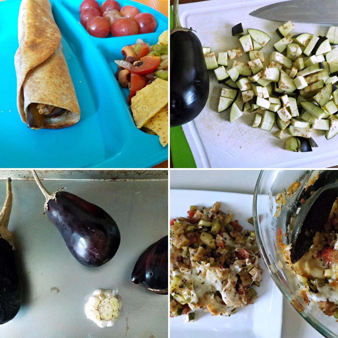 Monthly Produce Challenge Update #9: Eggplant | Feeding Our Flamingos