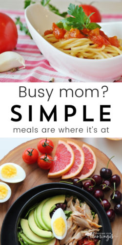 5 Secrets to Harnessing the Power of Simple Meals | Feeding Our Flamingos