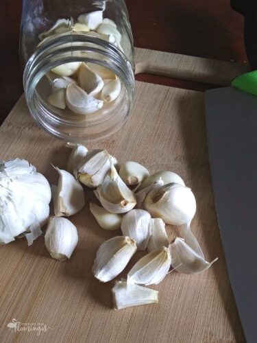 How to Freeze Garlic and Why You’d Want to