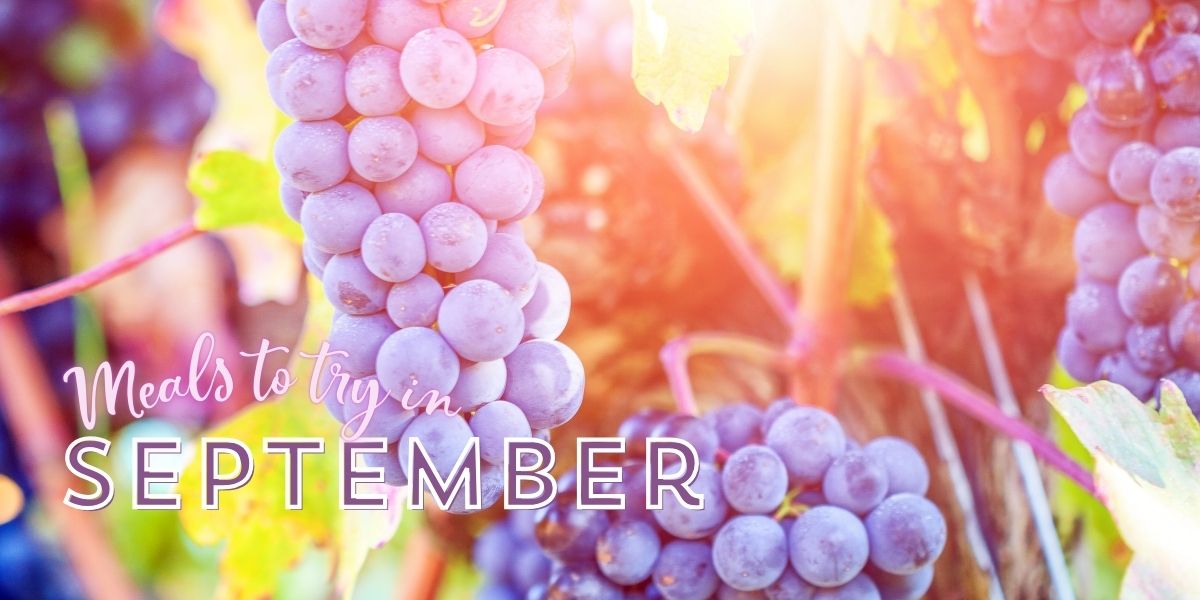 40+ Autumn Comfort Food Meal Ideas for September